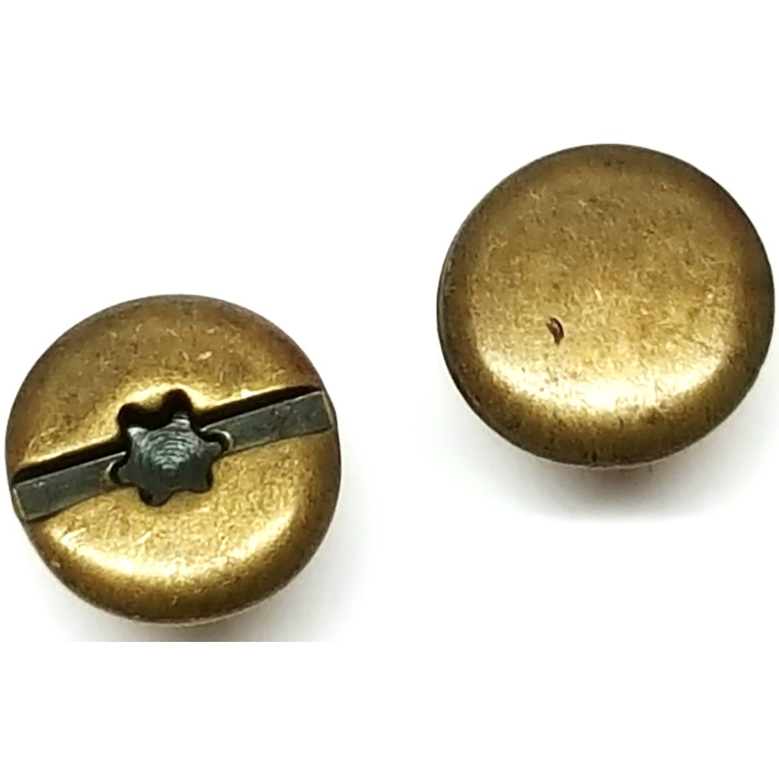 10 Pack 1/4" Antiqued Brass Chicago Screws With Grips ⋆ Hill Saddlery